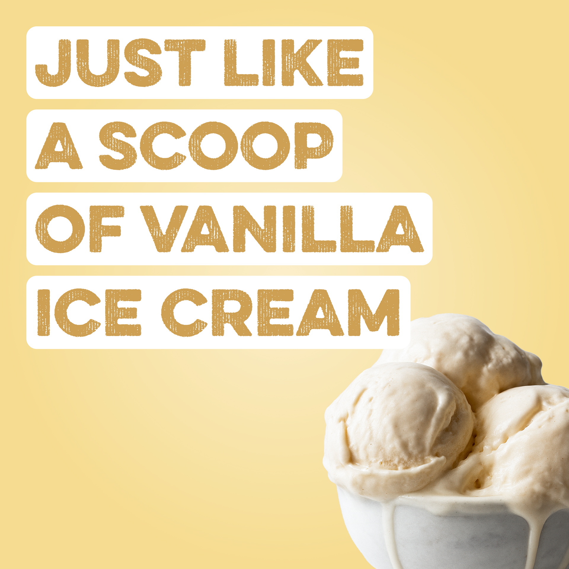 Protein Powder - Vanilla | CSE – Clean Simple Eats