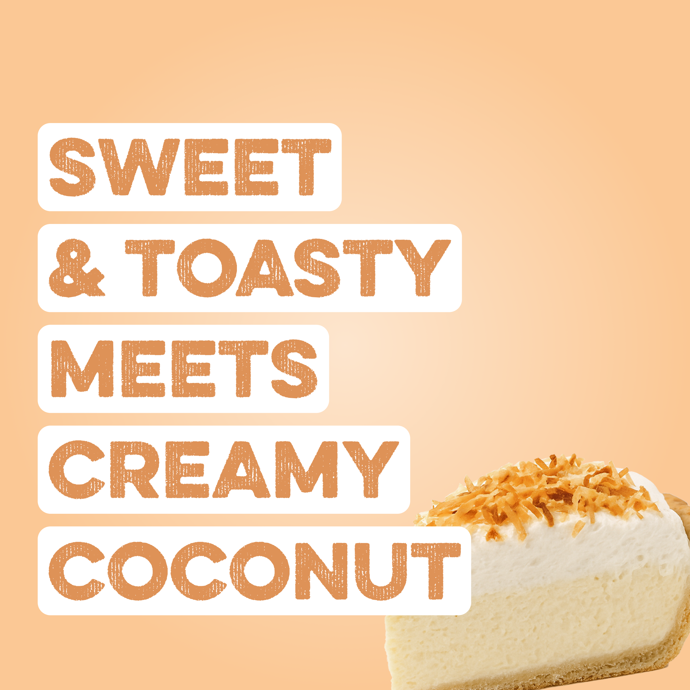 Protein Powder - Coconut | CSE – Clean Simple Eats
